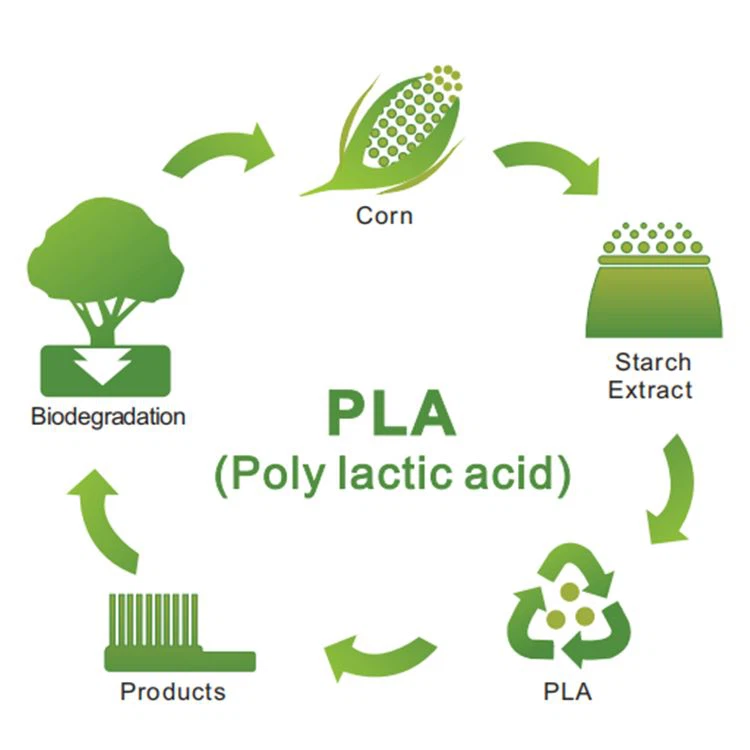 PLA vs PP Injection Molding